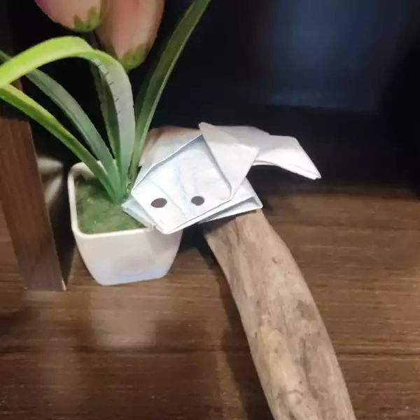 Camila Correa | profe.social